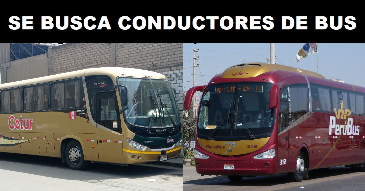 SE BUSCA CONDUCTORES DE BUS